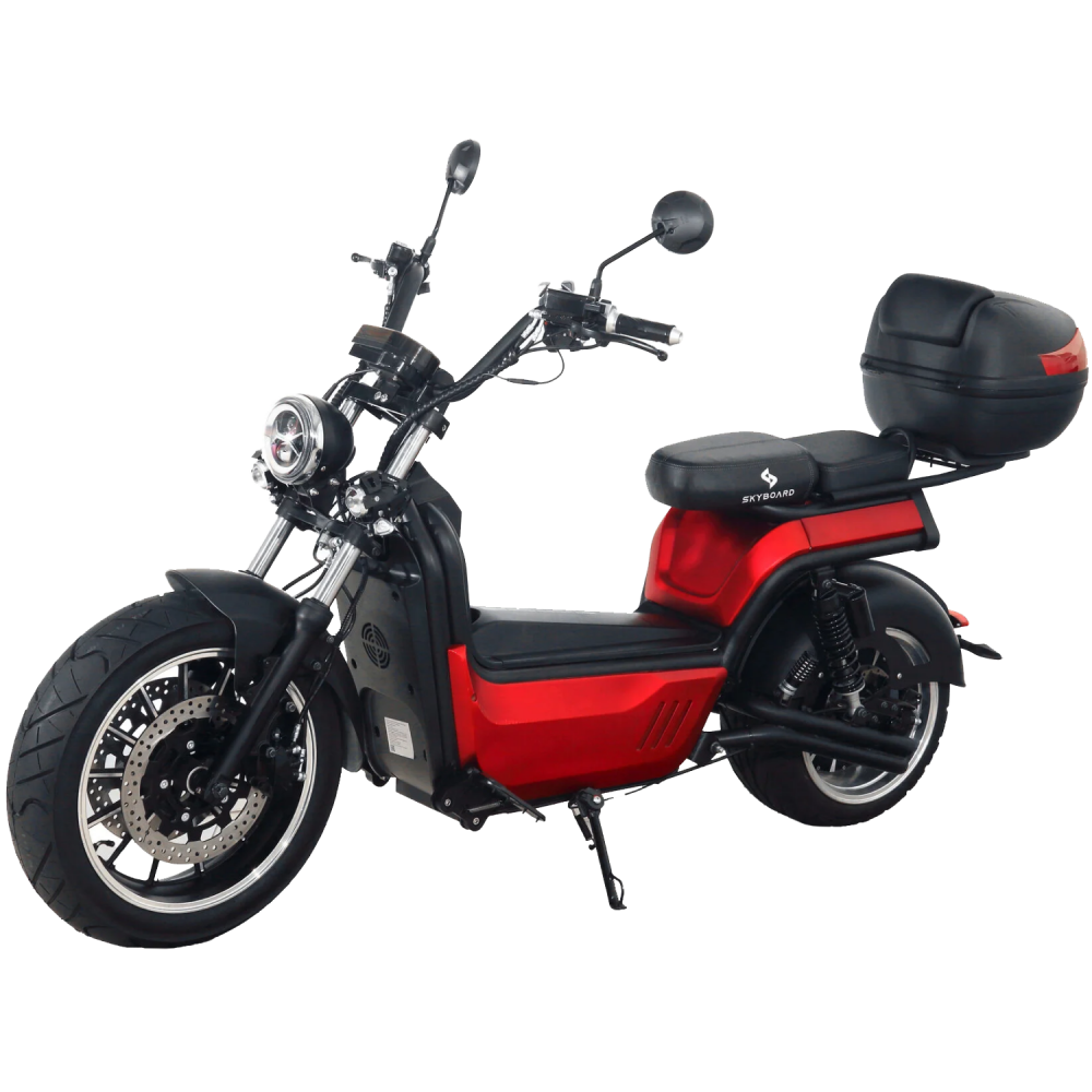 Skyboard BR100-5000 (Amur) купить в Москве - Цена, Характеристики | Магазин EcoMoto